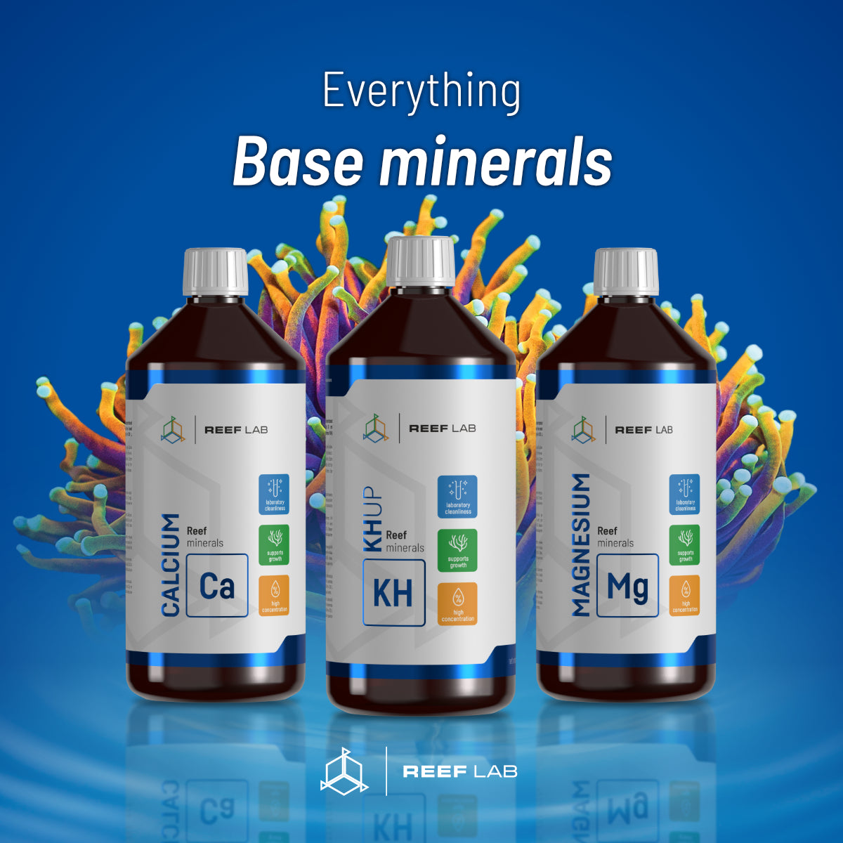 KH Up - 1000 ml (expired 07/2025) – Coral Passion