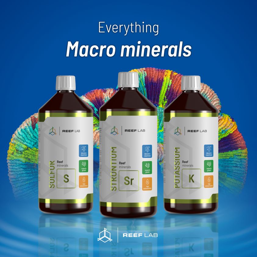 Strontium (Sr) - 1000 ml (expired 09/2025) – Coral Passion