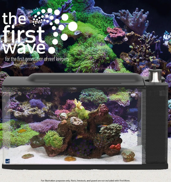 TMC First wave 48 – Coral Passion