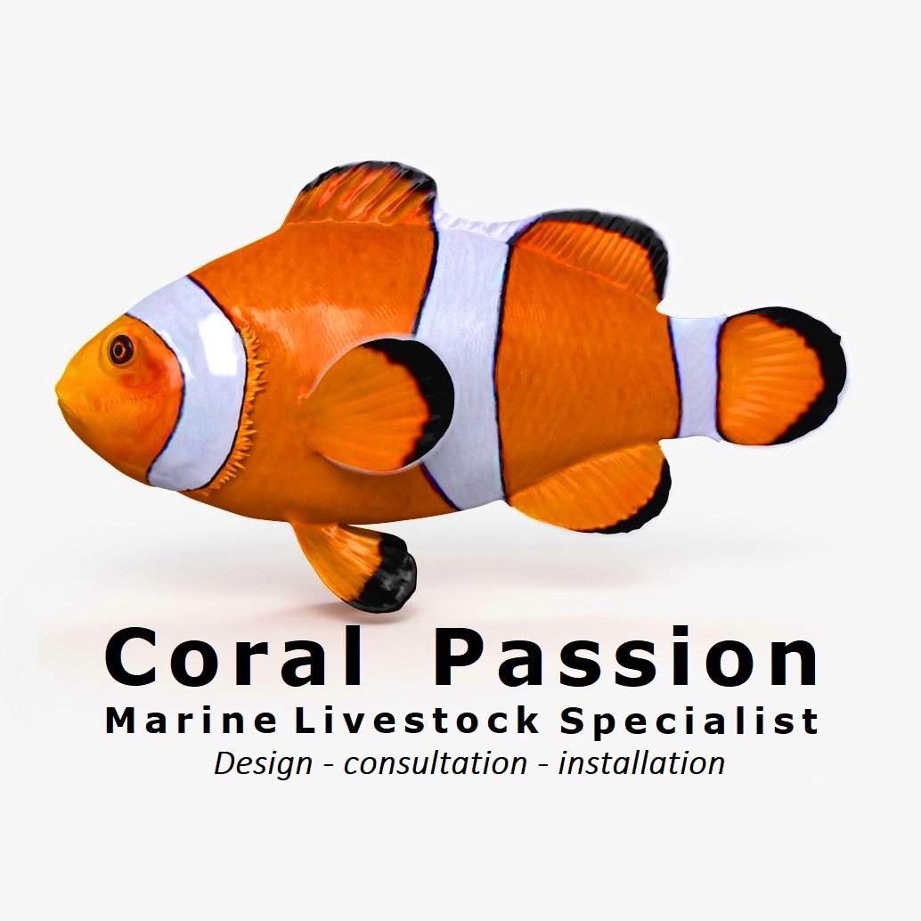 Aaron - card payment – Coral Passion